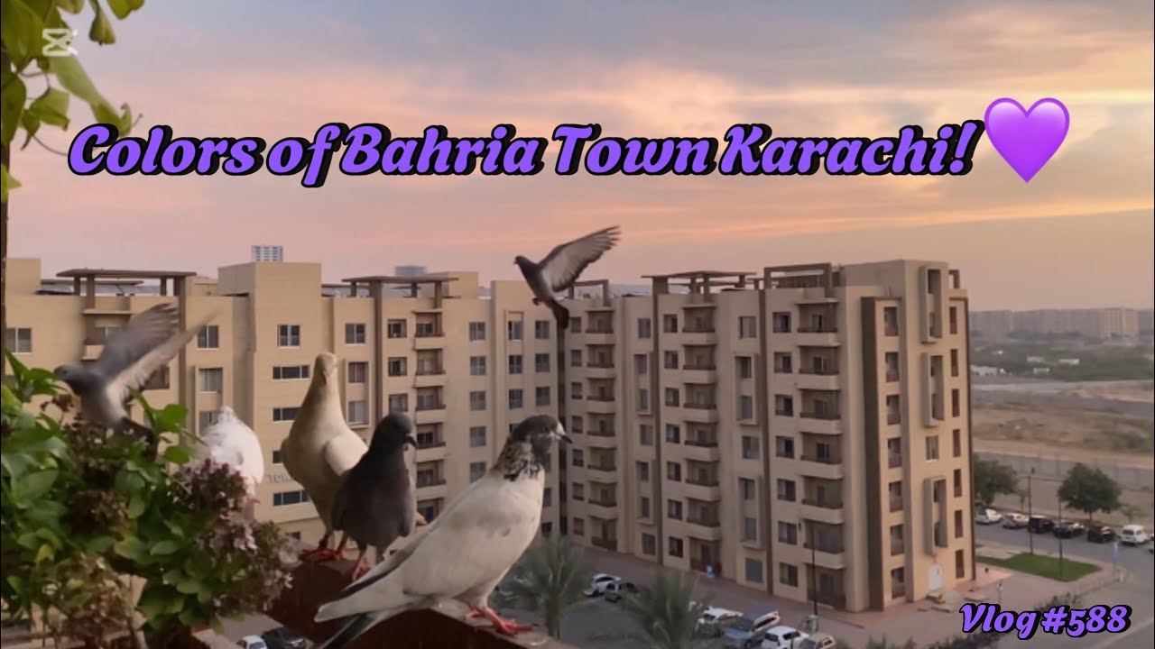COLORS OF BAHRIA TOWN KARACHI! 💜 | VLOG #588 | BINISH RIZWAN - YouTube