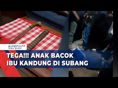 Ditegur Karena Jual Ayam, Anak Bacok Ibunya Sendiri