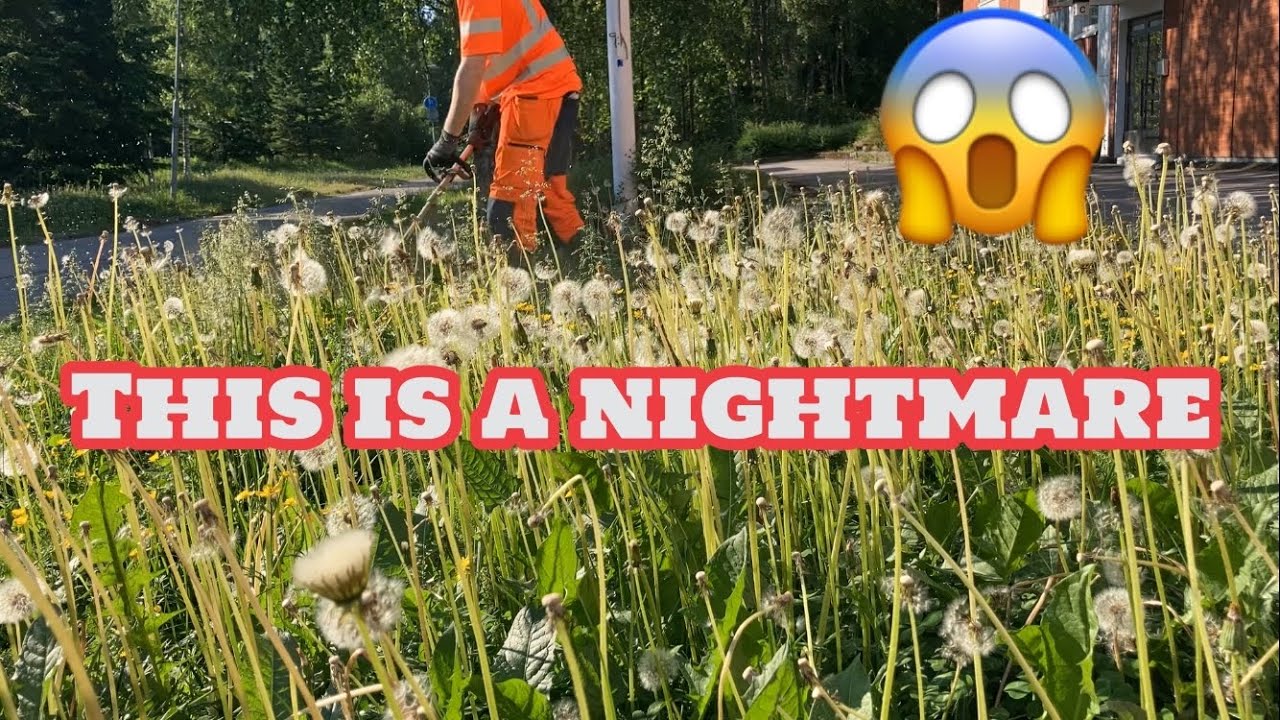 Nightmare Lawn Transformation: Janitor Battles Wild Weeds! - YouTube