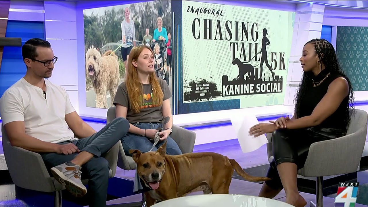 Chasing Tails 5K kicks off Saturday - YouTube