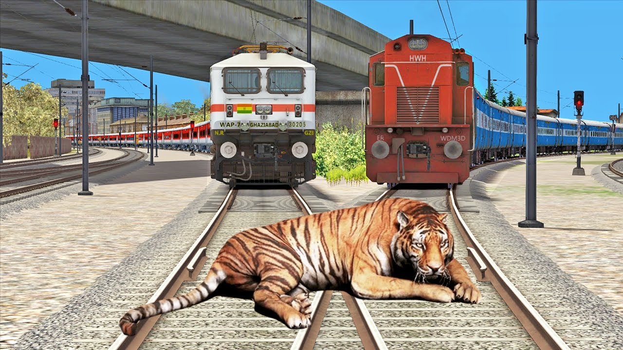 Giant Tiger vs Two Trains | Stops the train | BeamNG.Drive - YouTube