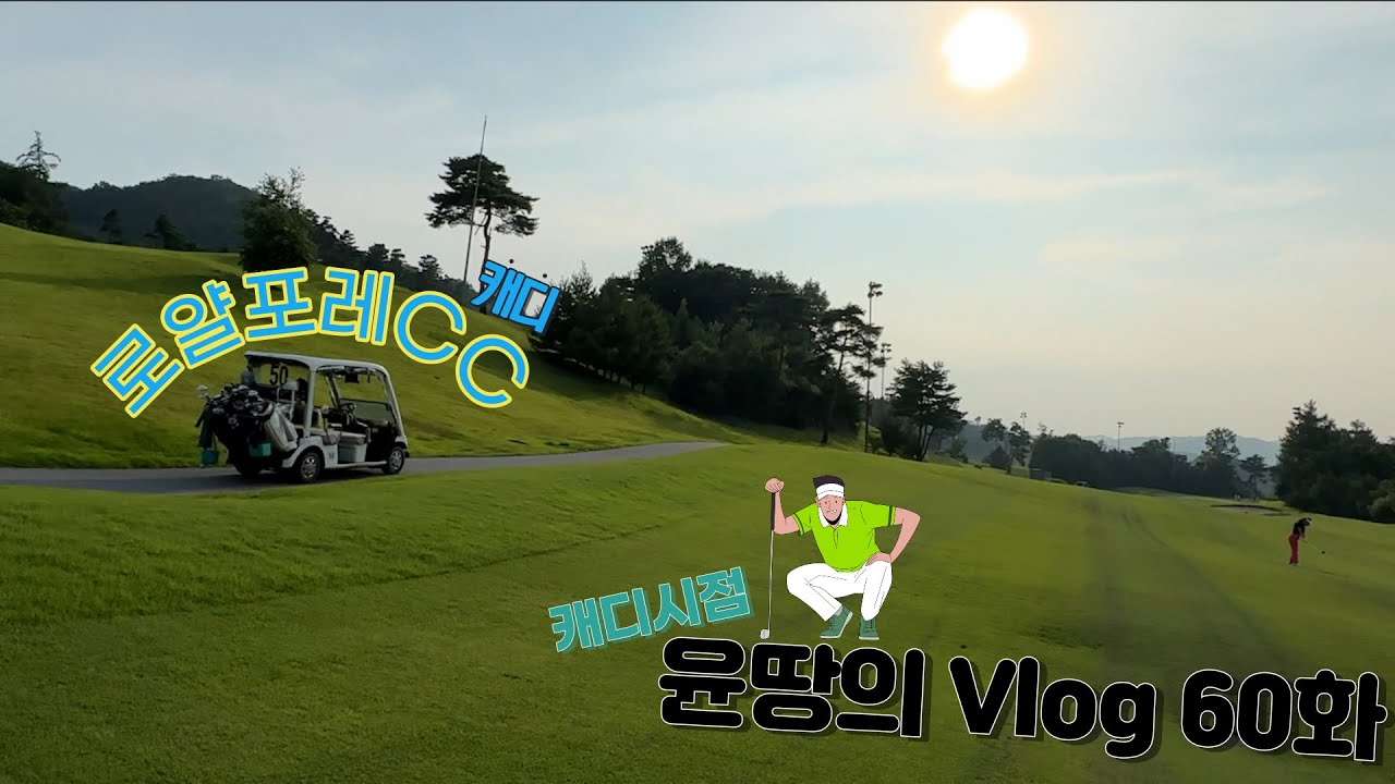 윤땅의 캐디시점 브이로그 Vlog 60화 책 추천 브이로그 캐디용어 캐디교육 캐디 유튜버 캐디 서브 충주 로얄포레cc