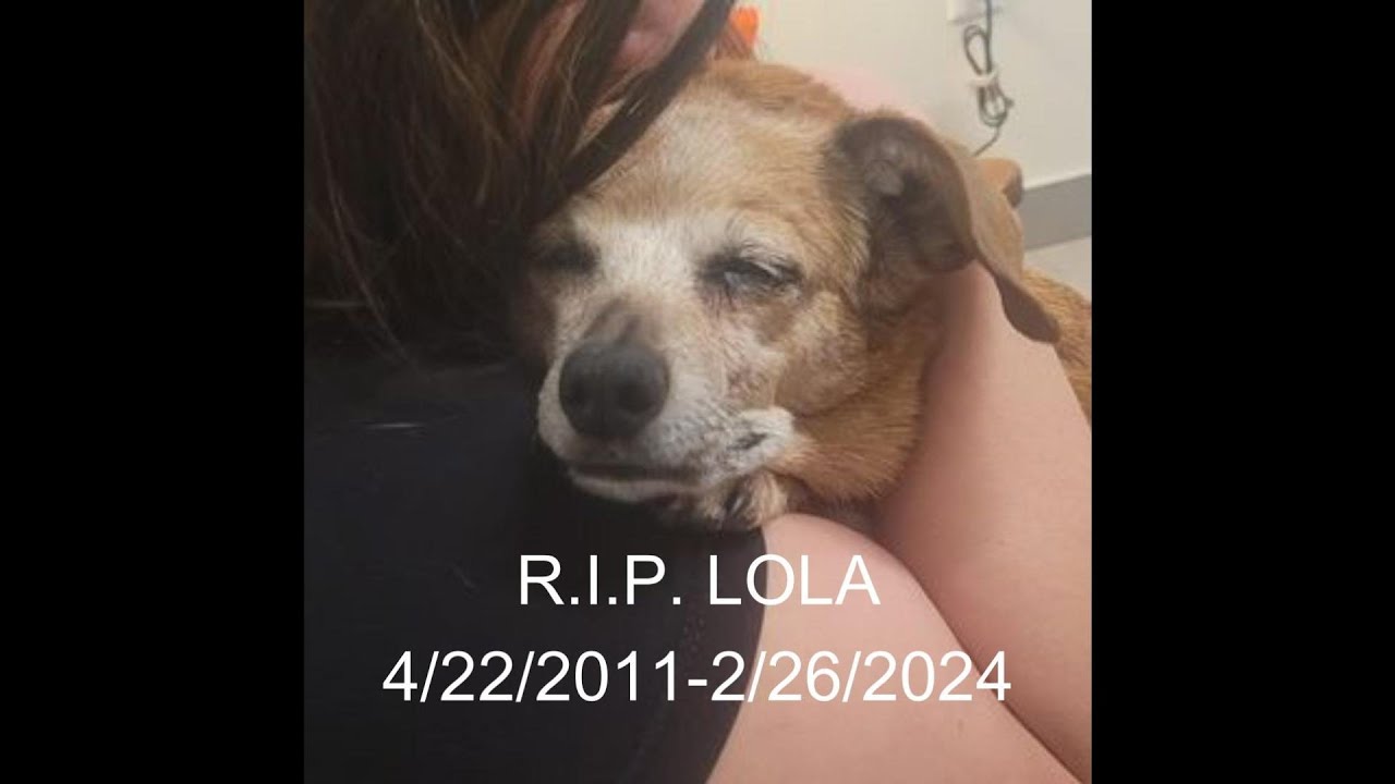 RIP Lola :( (Memorial) - YouTube