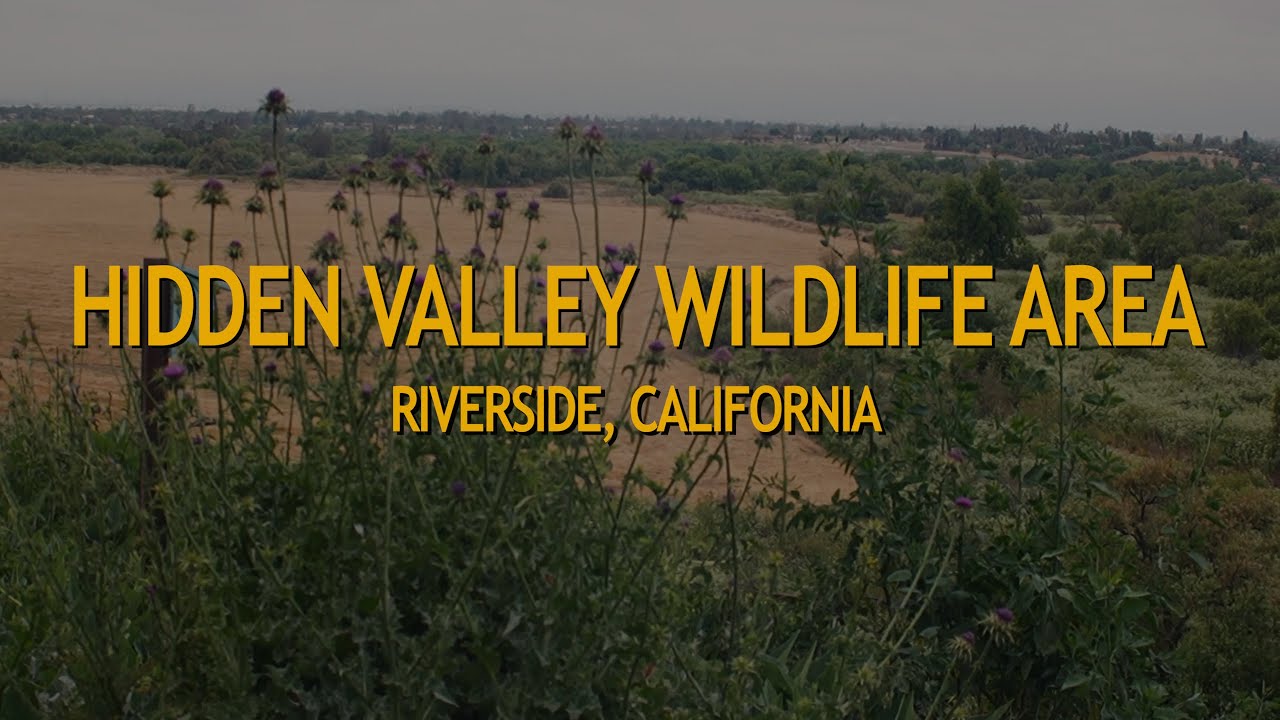 HIDDEN VALLEY WILDLIFE AREA. RIVERSIDE, CA. Vintage Analog Vivitar 28 ...