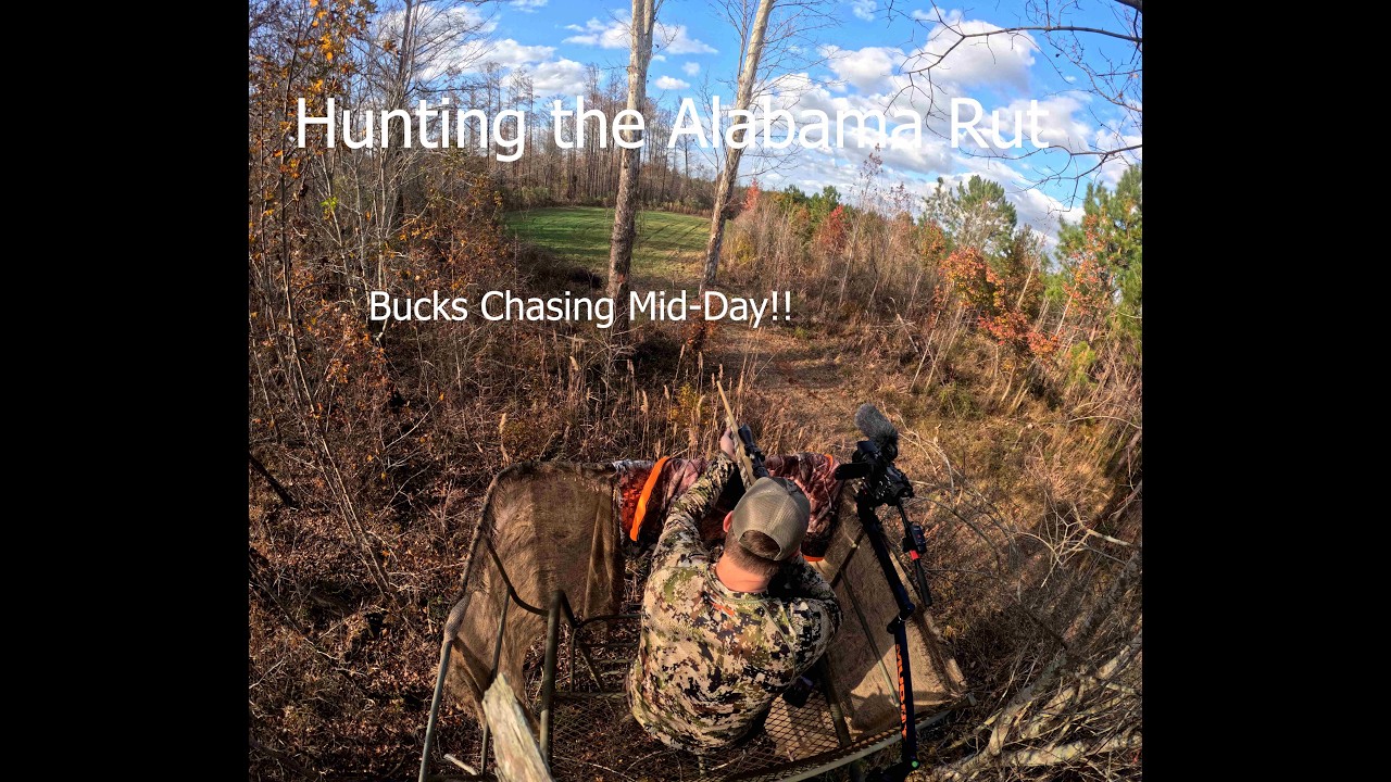 Deer Hunting | Alabama Rut is Here | 2024 - Episode 9 #deerhunting # ...