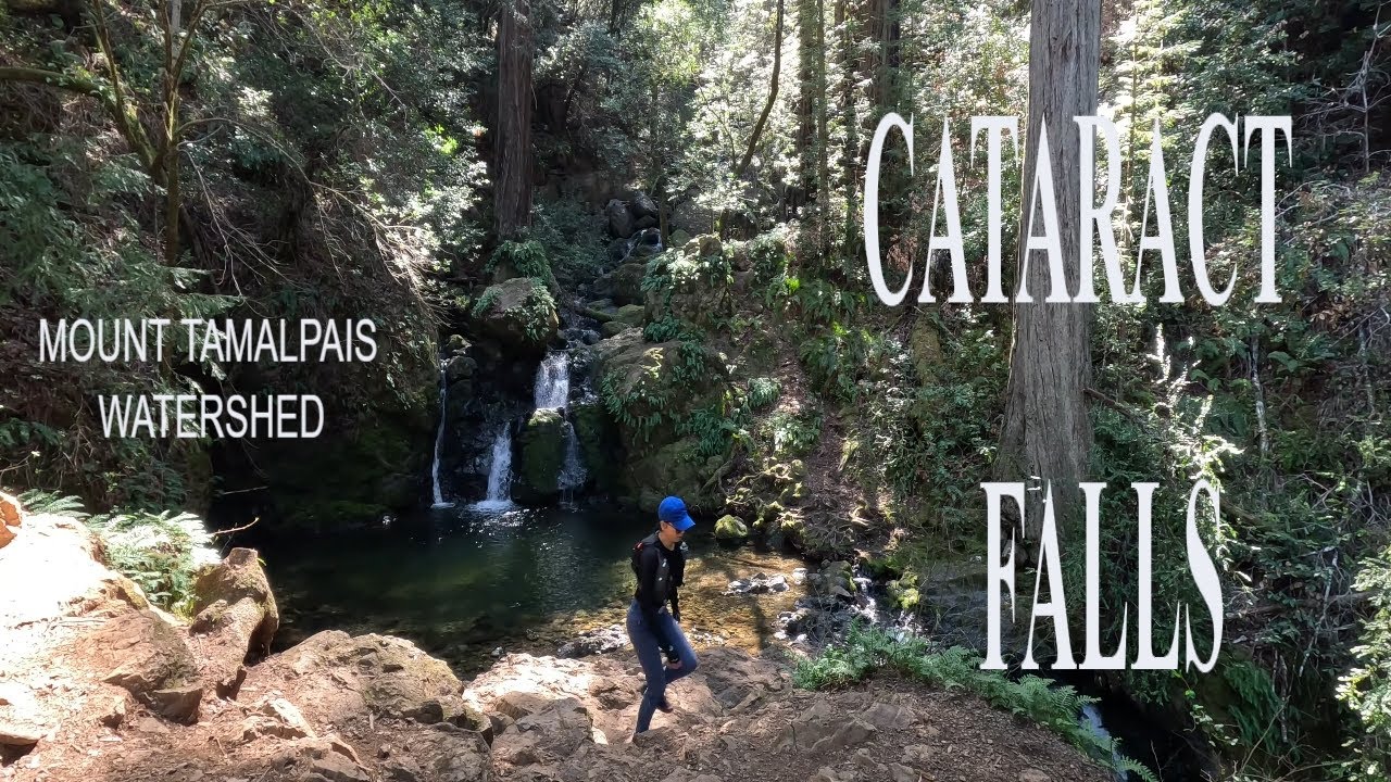 |4K|Hiking Cataract Falls, Mount Tamalpais Watershed| San Francisco ...