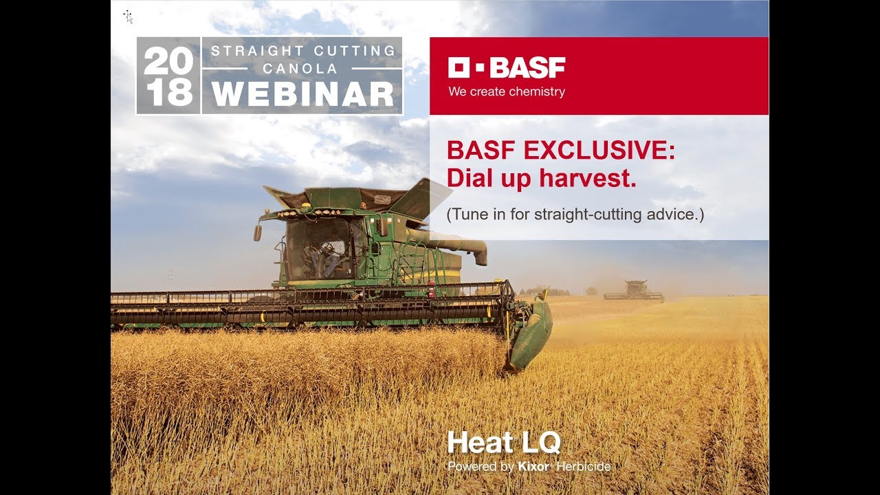 2018 Straight Cutting Canola Webinar | BASF - YouTube