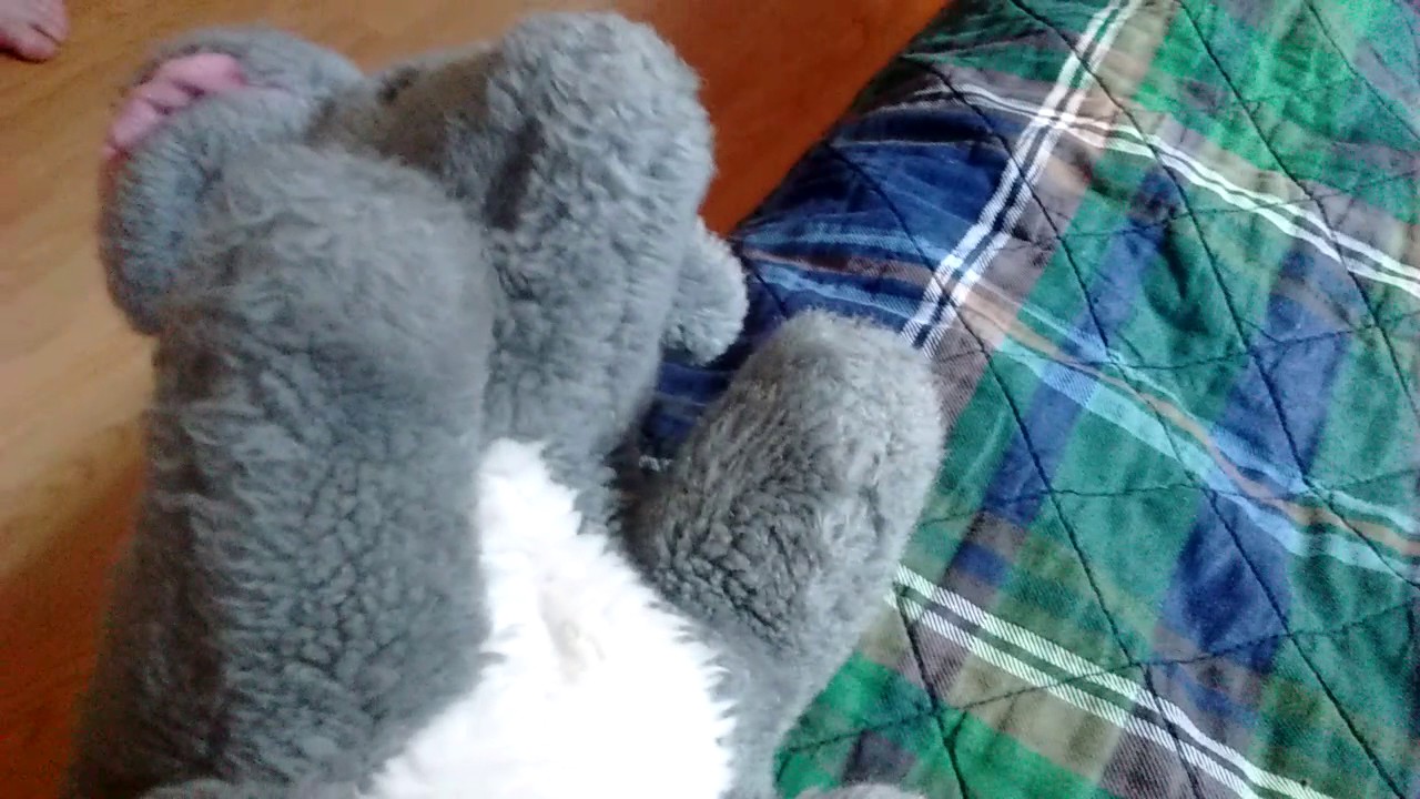 Brazz and shadow meet SpongeBob - YouTube