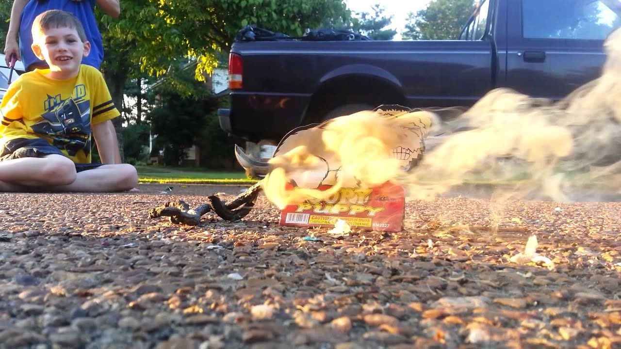 Dog poop firework - YouTube