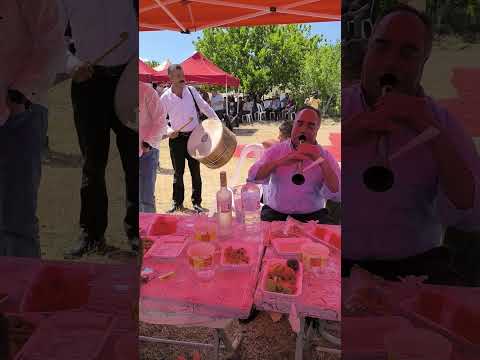 patis bayram davulcu hayati elmalı düğün 