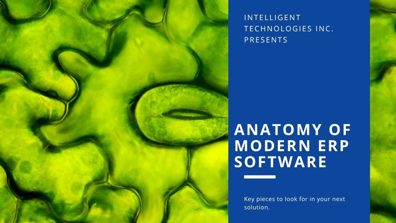 Anatomy of Modern ERP Software - YouTube