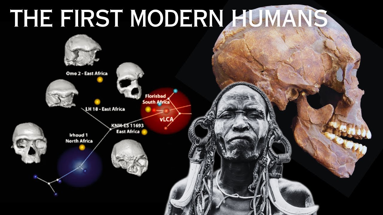 New Fossil Discovery in Africa Changes Early Human History - YouTube