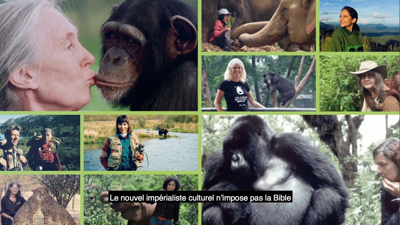 Eco-Colonialism - YouTube