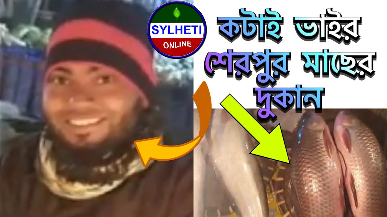 Kotai Miah Fish Shop | Sherpur Sylhet | কটাই মিয়া ভাইর শেরপুর মাছের ...