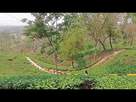 tipam fakial - YouTube