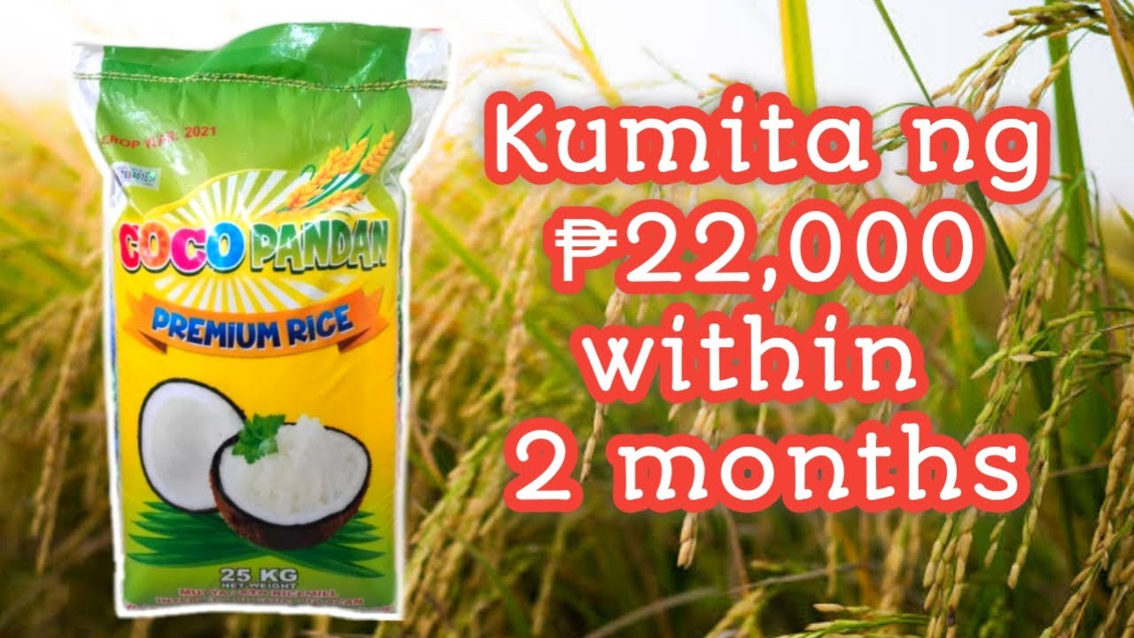 INSTALLMENT ONLINE BIGASAN | STRATEGY AND TIPS ON HOW TO START ONLINE ...