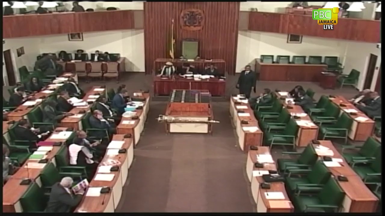 Sitting of the House of Representatives - February 19, 2019 - YouTube