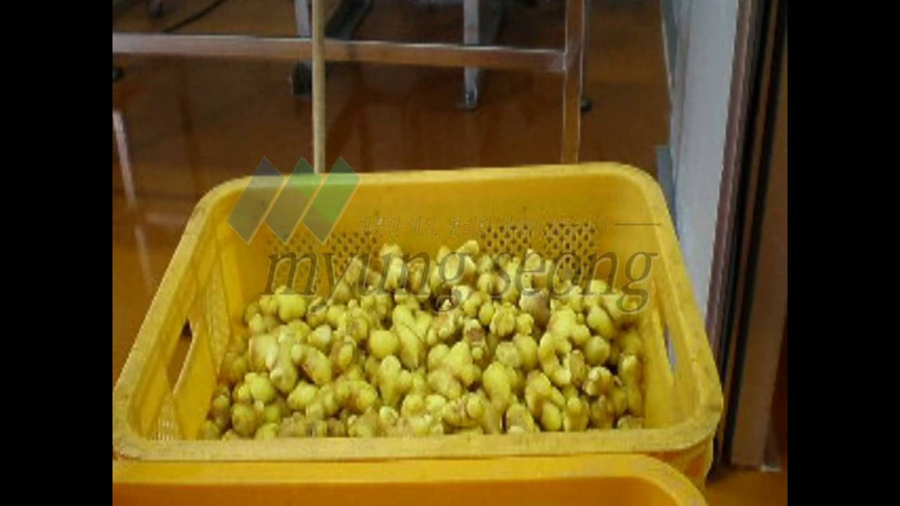 생강 세척기 (Ginger Washer) - YouTube