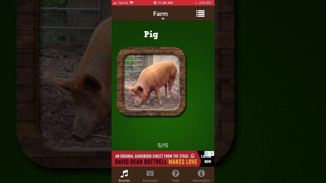 Farm Animal Names And Sounds YouTube farm-animal-names-and-sounds-youtube
