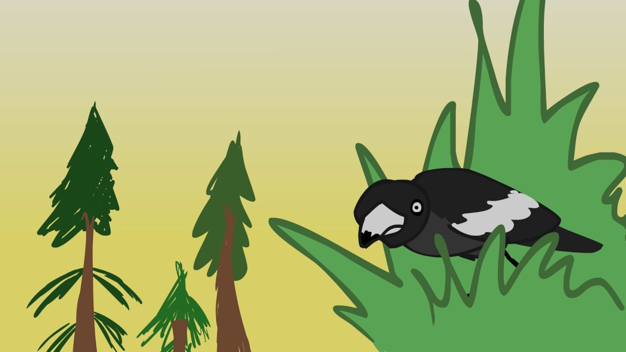 The Natural Order - Short Flash Animation by Ben Paddock - YouTube