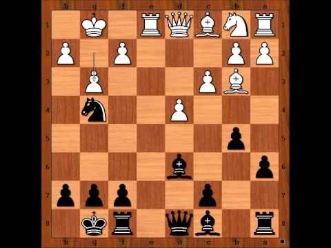 The King Hunt:Kaplan vs Palmert - Dayton 1977