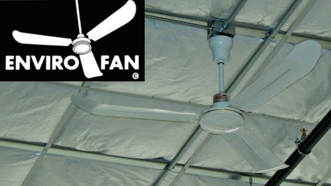 Envirofan Bronze Line Industrial Ceiling Fans - YouTube