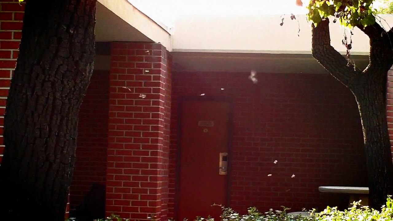 Epic Minds - YouTube