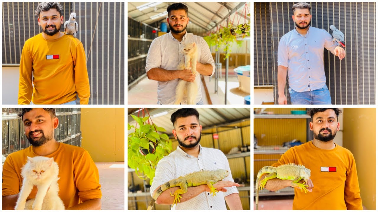 PET STATION KANNUR (MATOOL) - YouTube