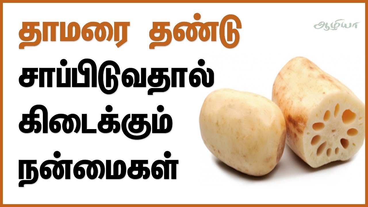 Lotus Stem In Tamil Health Benefits Of Lotus Root தாமரை தண்டு Health Tips In Tamil Youtube