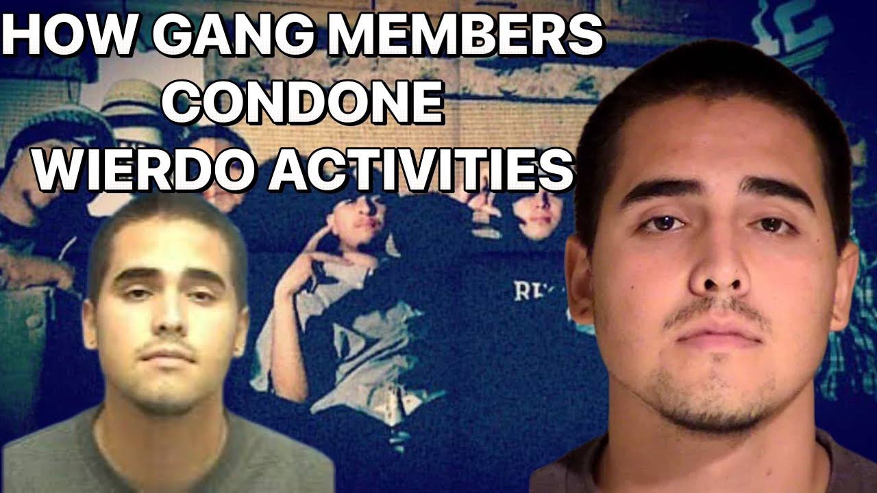 HOW AND WHY ACTIVE GANG MEMBERS CONDONE AND GET AWAY WITH WIERDO ...