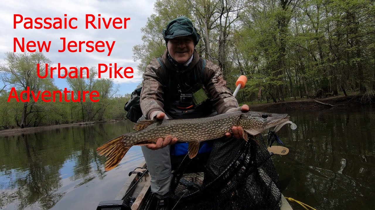 Pike fishing in Urban New Jersey - YouTube