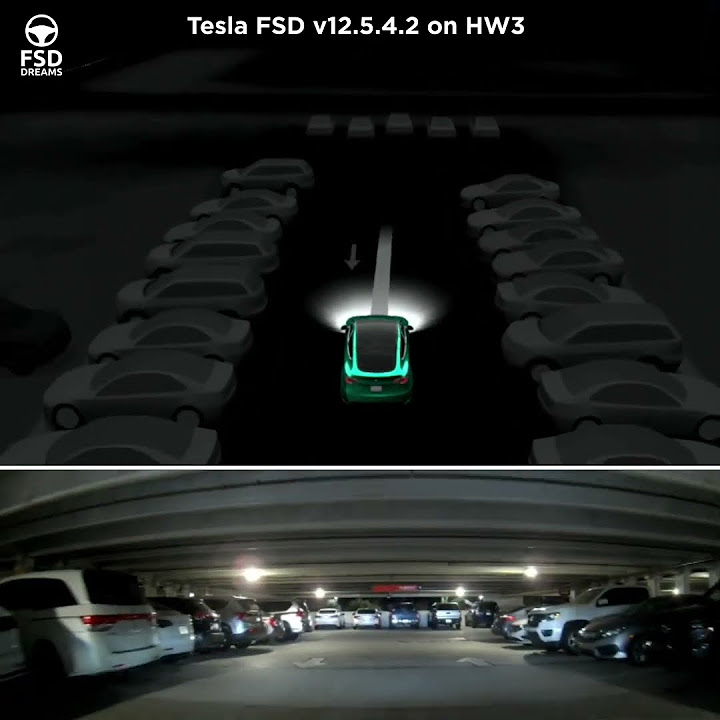 FSD Visualizations Are Amazing 🔥 - YouTube