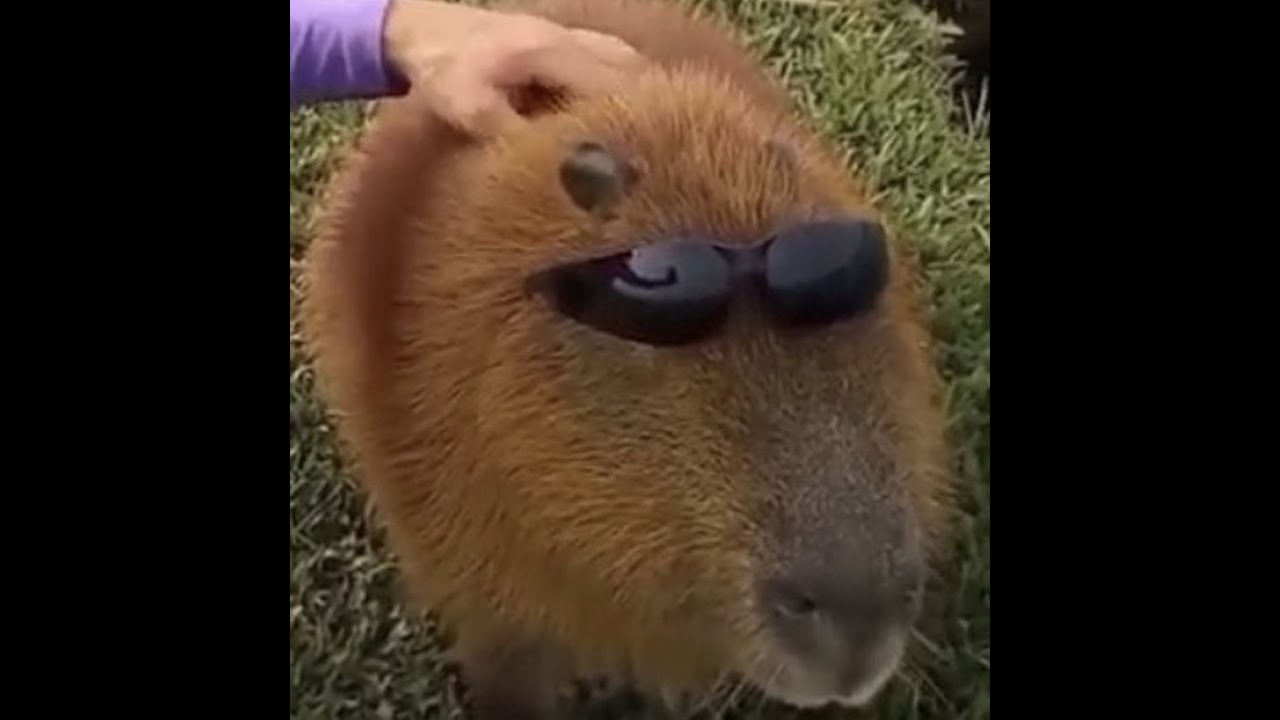 nexbot в роблокс #2 - YouTube