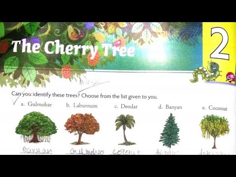 THE CHERRY TREE||PART 1||CLASS 6||CHAPTER 2||NEW MULBERRY ENGLISH BOOK ...