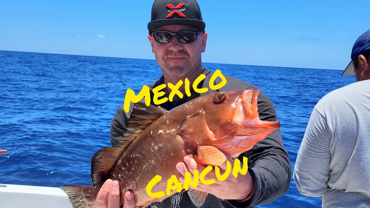 Mahi Mahi and Red Grouper at Caribbean Sea - YouTube