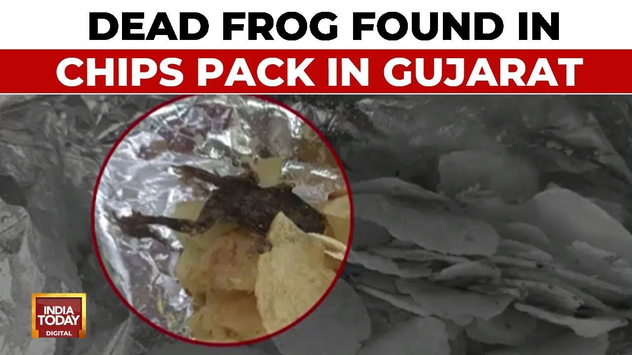 Another Food Horror Story From Gujarat, Dead Frog Found In Chips Pack ...