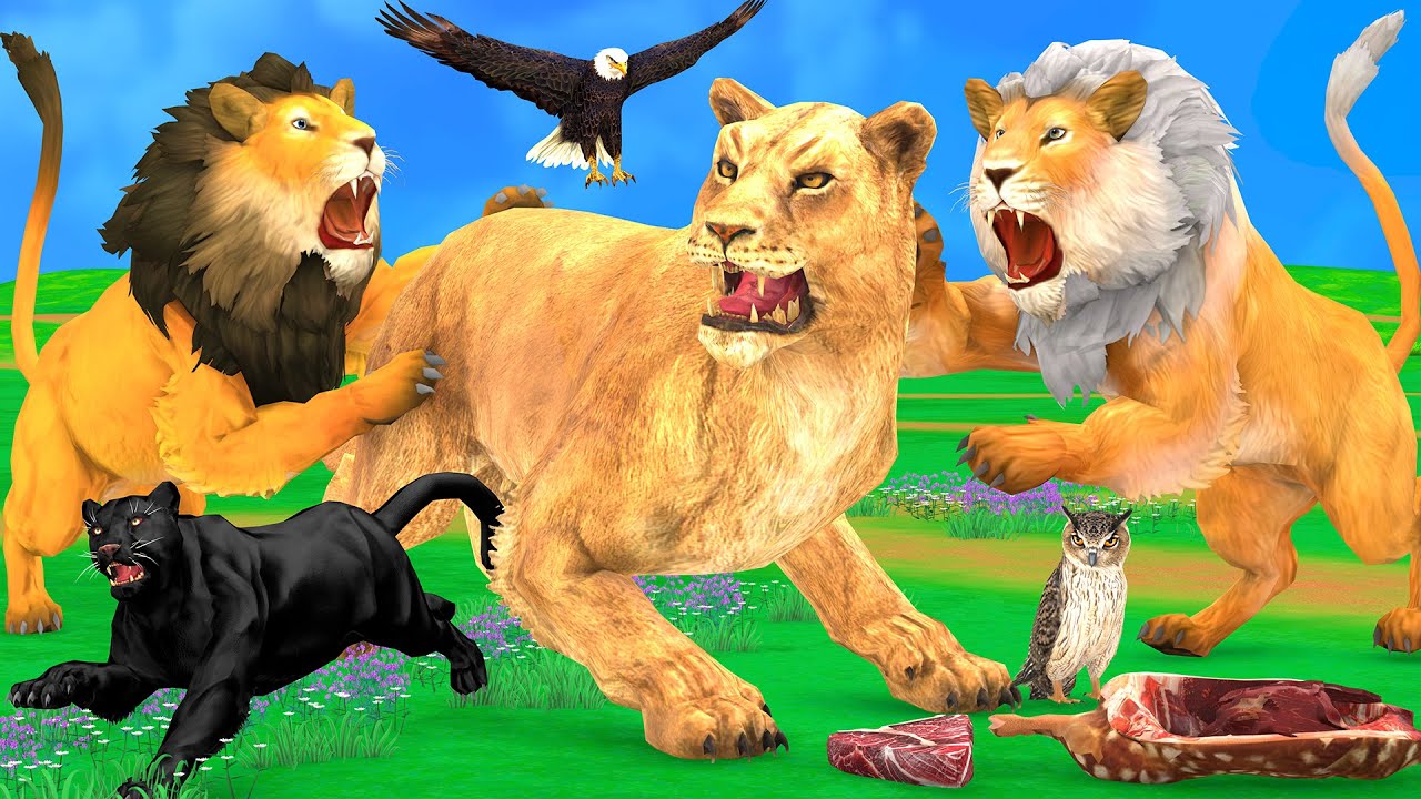 विशाल शेरनी लौट आइये पीठ पर जालिम कहर और एक बड़ा मक़सद Vishal Sherni ...