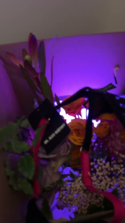 Как должны выглядеть цветы от него 😏😏 Youtube