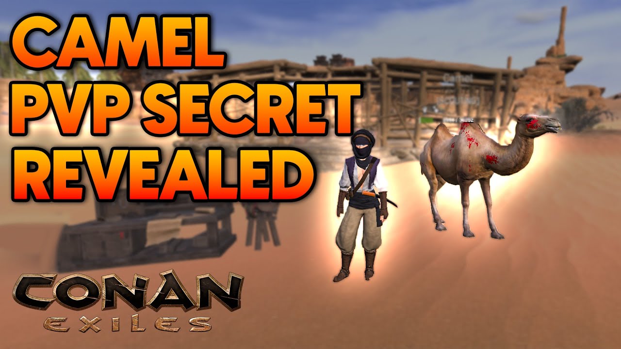 Why Camels Are Essential for PvP - Ultimate Camel Guide | Conan Exiles ...
