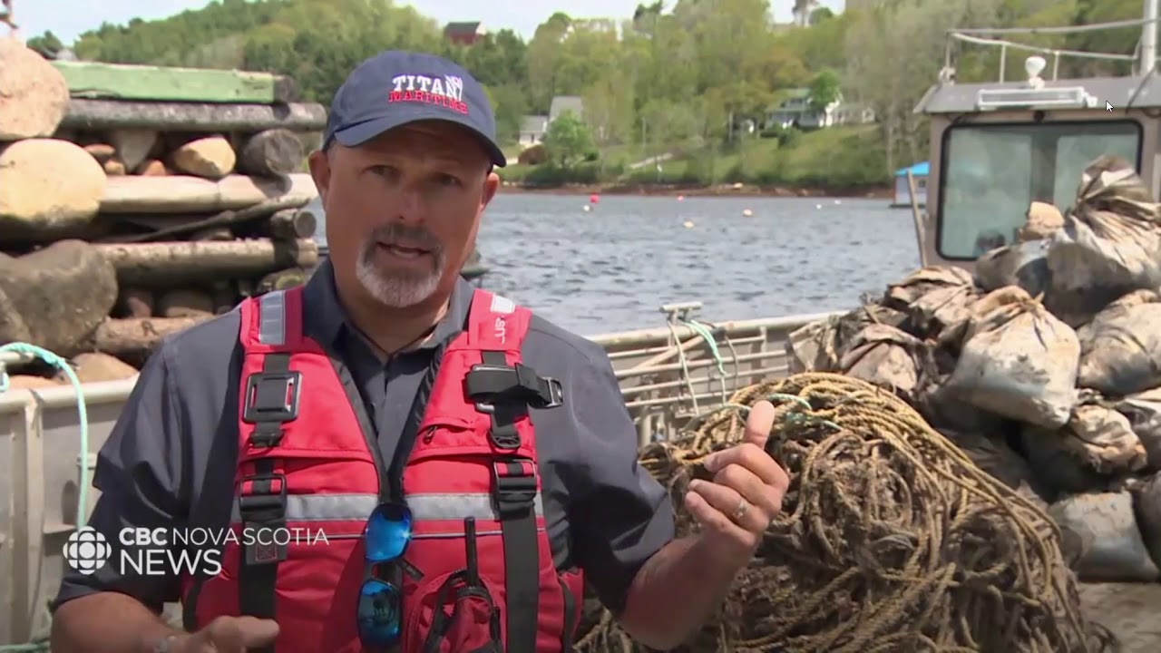 CBC Nova Scotia News June 04, 2020 CBC - YouTube
