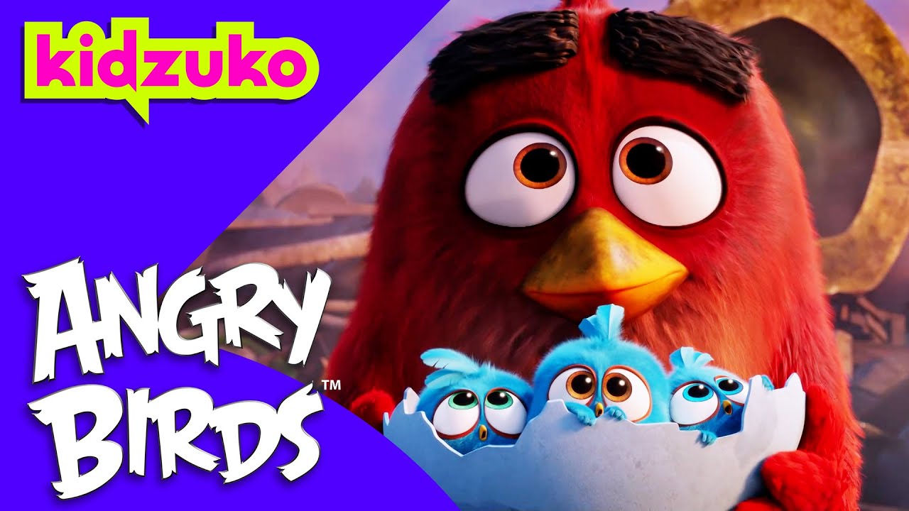 🧣 Red Saves the Baby Hatchlings 🐣 | Angry Birds | Best Bits! | @Kidzuko ...