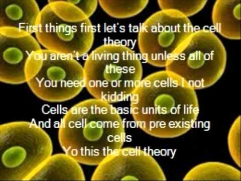 Cell Theory Rap - YouTube