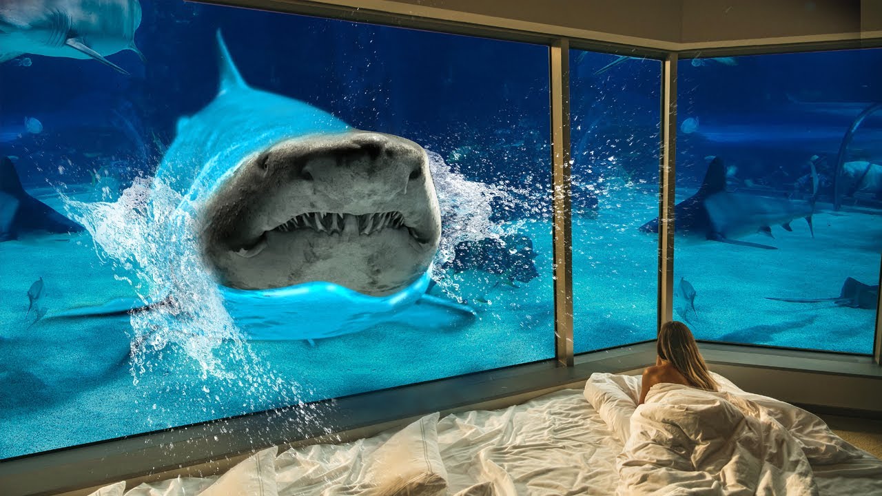 Aquarium Manipulation Work | Photoshop Tutorials - YouTube