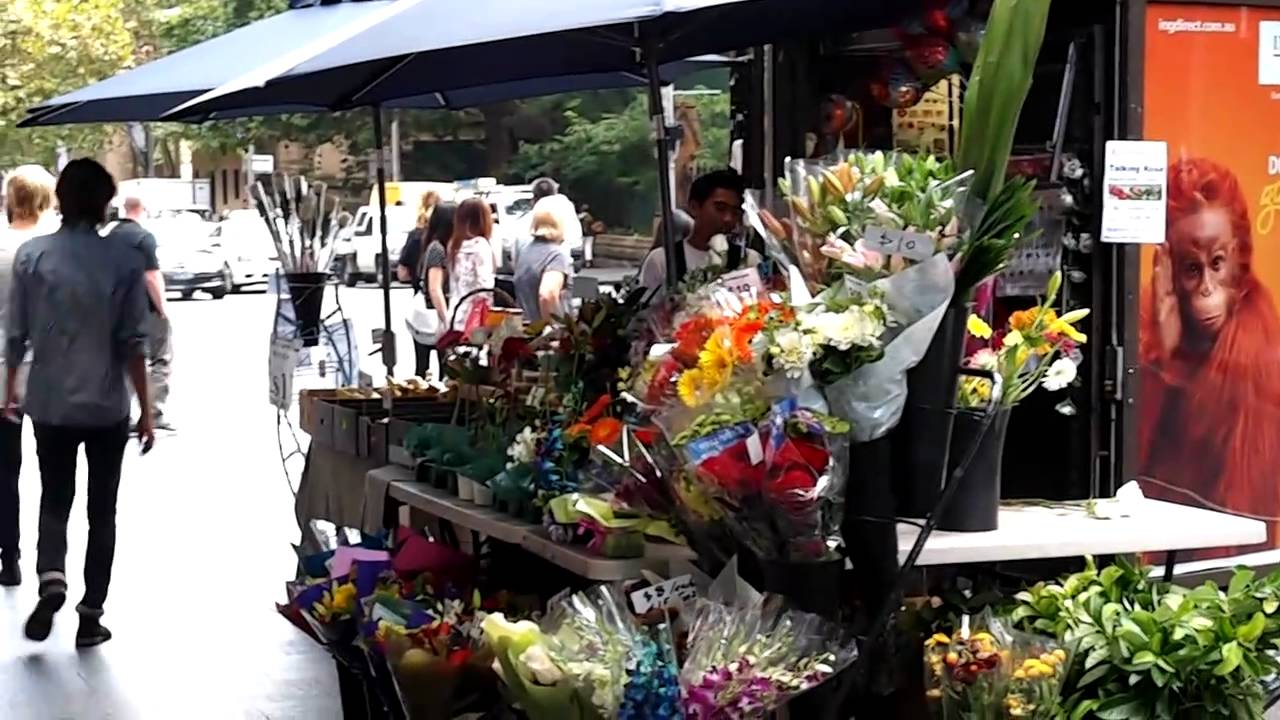 Olympus E-5 video test (720p)