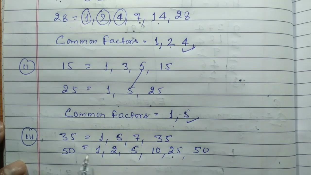Class 6 - Exercise 3.4 - Q 1 | Find the common factors of 20 and 28 (b ...