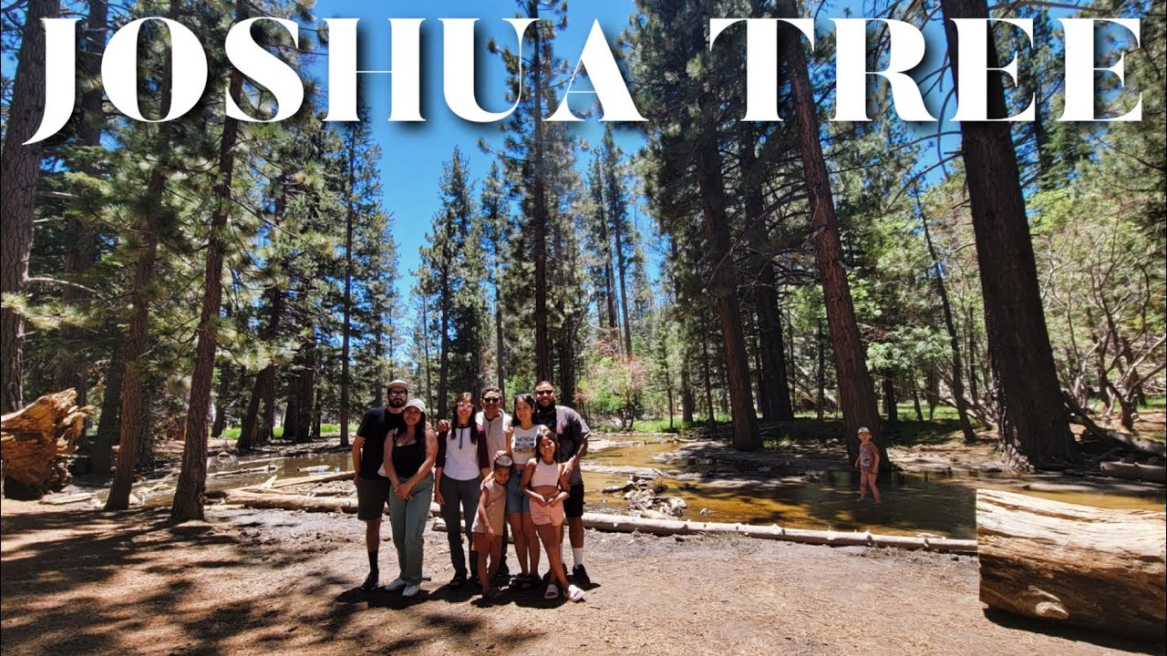Joshua Tree National Park | Palm Springs Aerial Tramway | Yucca Valley ...
