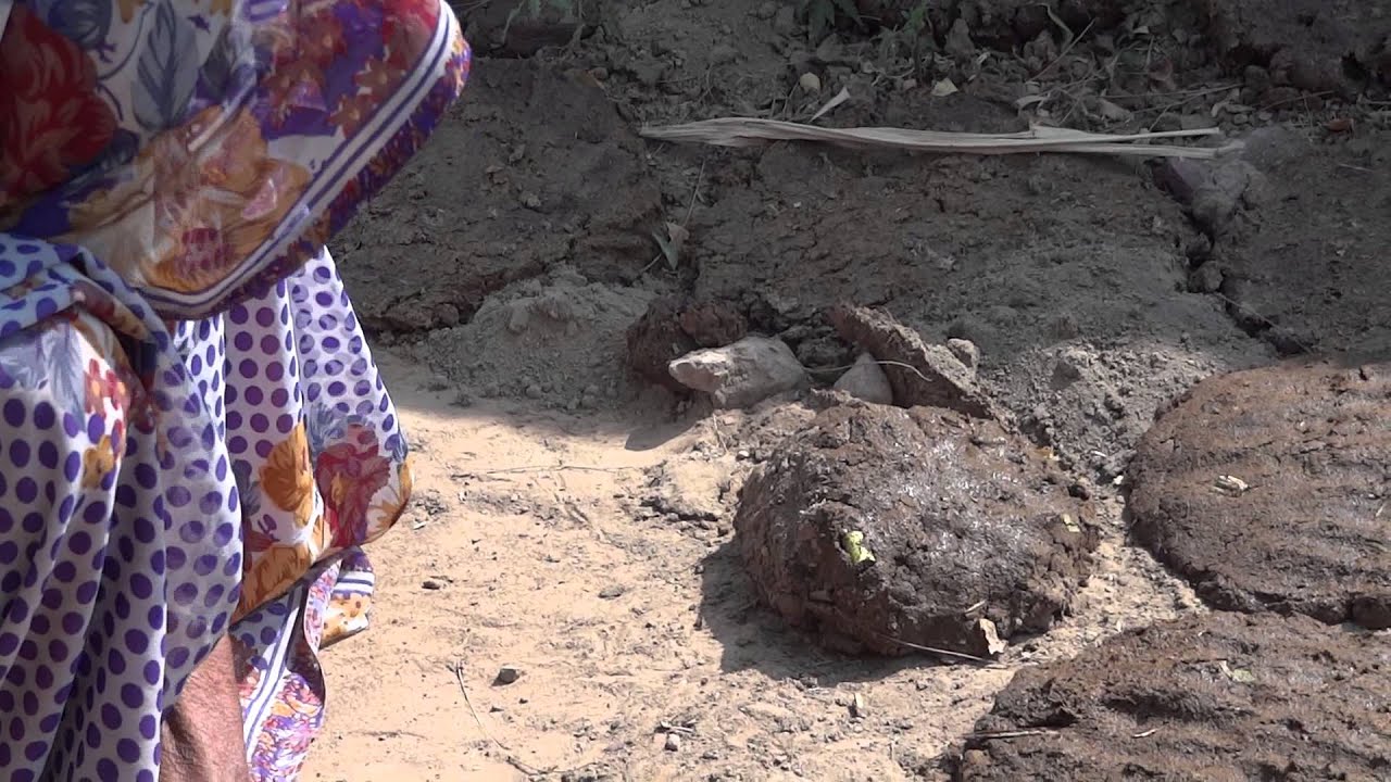 The Making of Dung - Delhi, India - YouTube