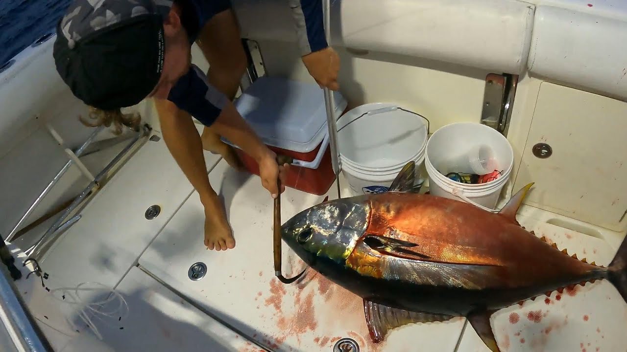 Jigging for Big Eye Tuna and Trolling for Mahi Mahi & Yellowfin Tuna at ...