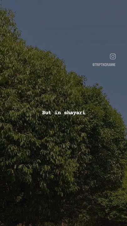 Immersed in the symphony of nature and verse #nature #verseoftheday # ...