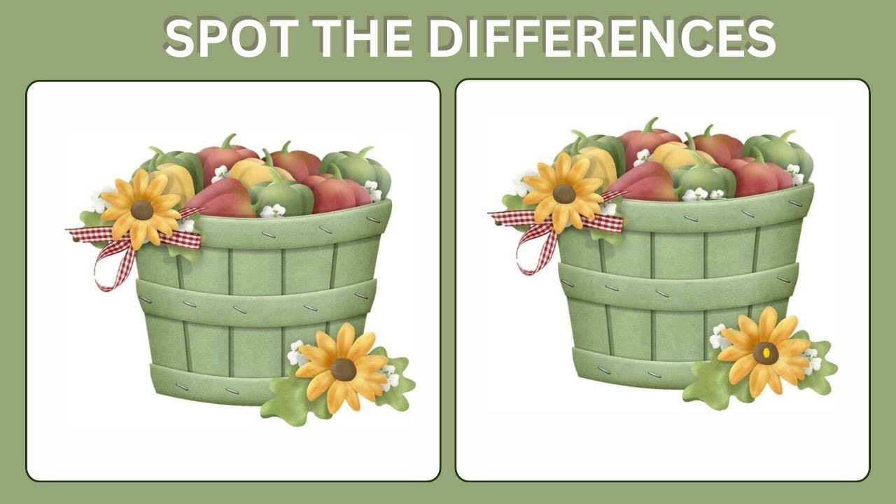 SPOT THE DIFFERENCES, "Unbelievable! " Brain Teasers Ahead! Test Your ...